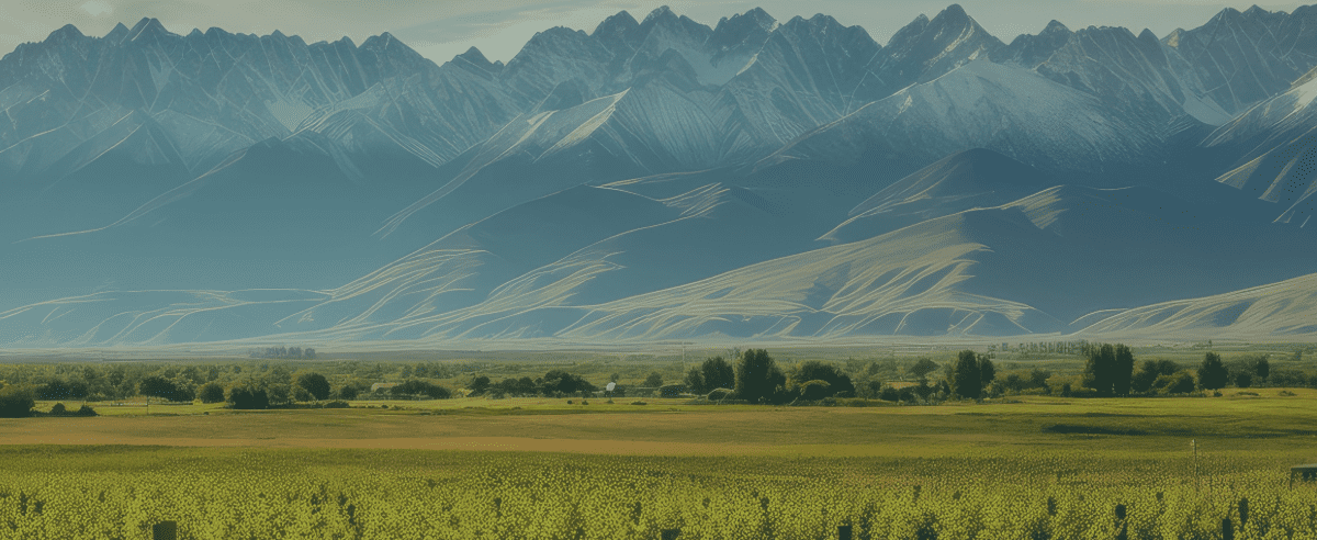 Mendoza - Hotel Park Hyatt | Landscape